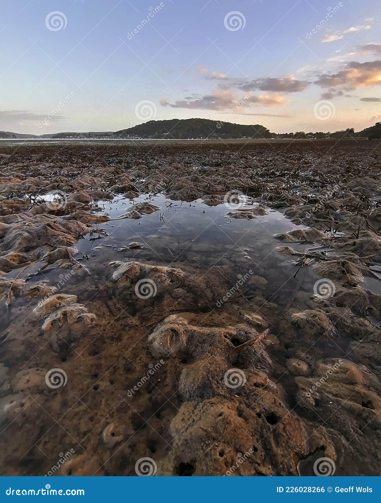 Puddle at Low Tide in Lake with a Mountain in Background Stock Photo ...