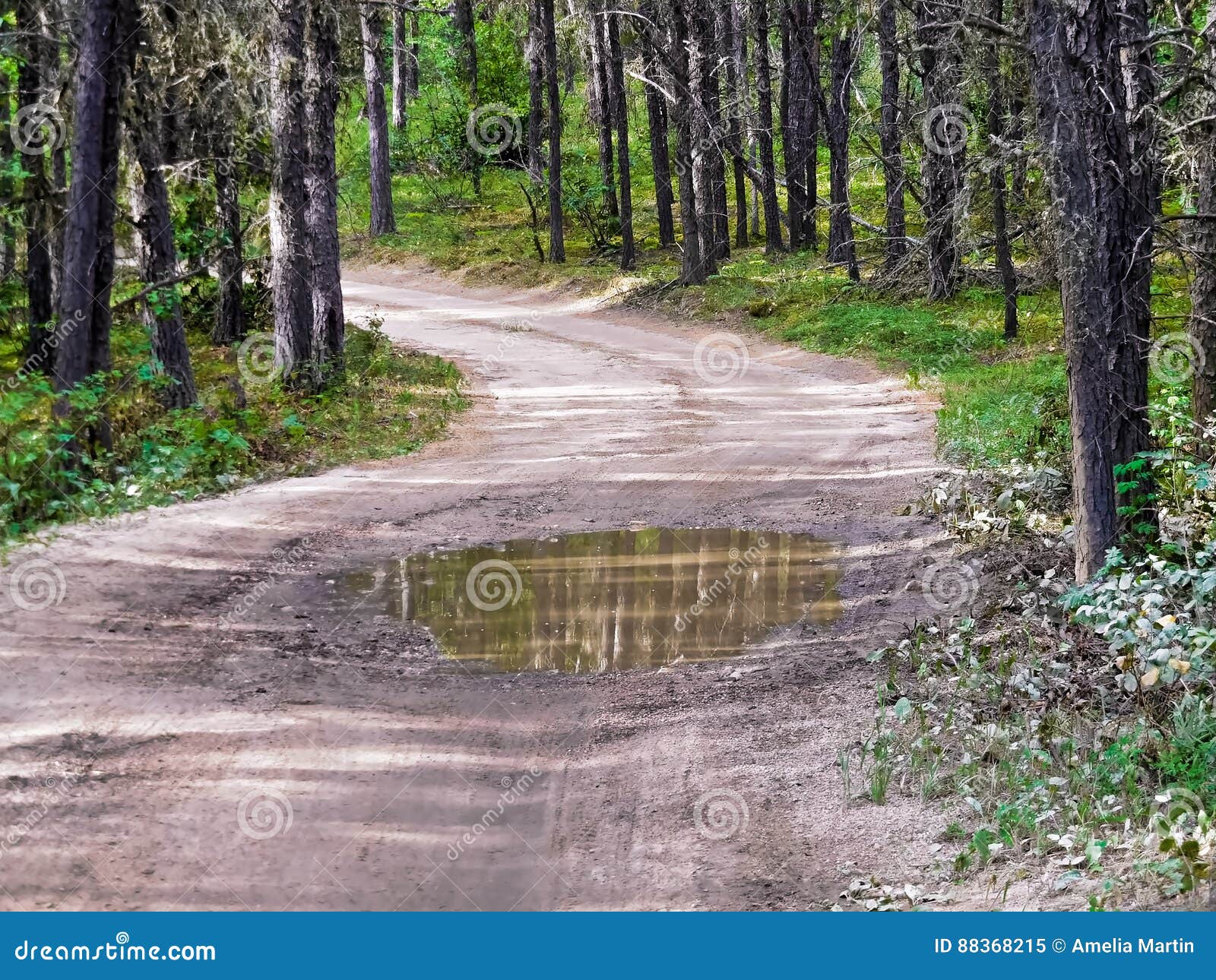Puddle in the Middle of a Lonely Road Stock Image - Image of isolated ...