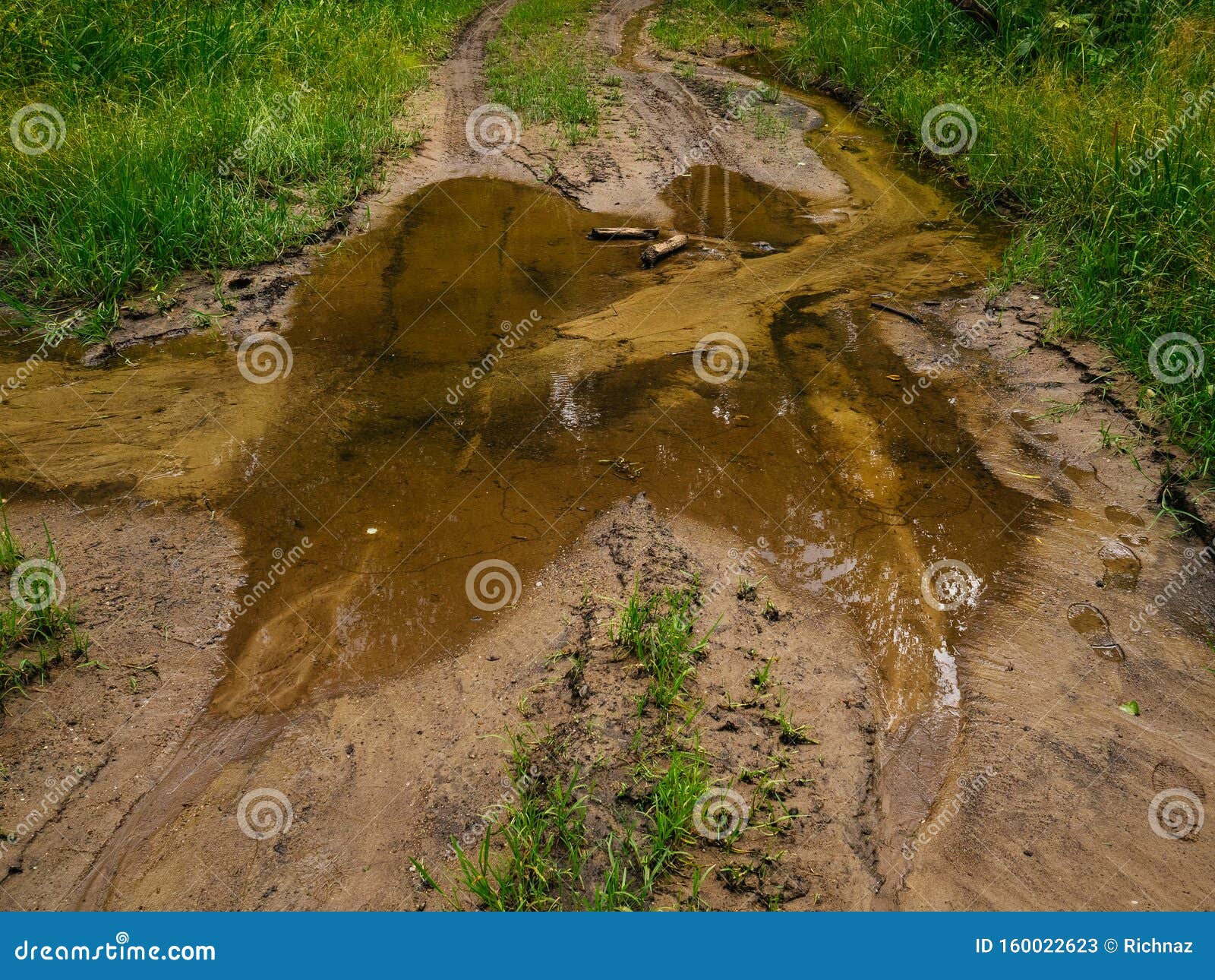 Puddle in the Middle of the Road in the Woods Stock Image - Image of ...