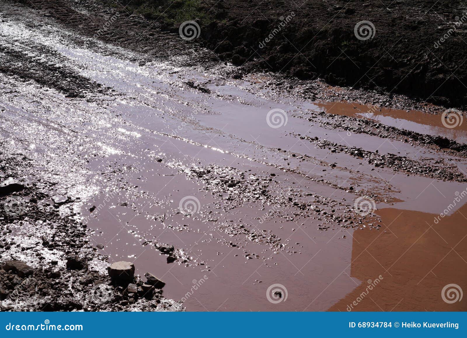 Puddle with mud stock photo. Image of dirty, muddy, reflections - 68934784