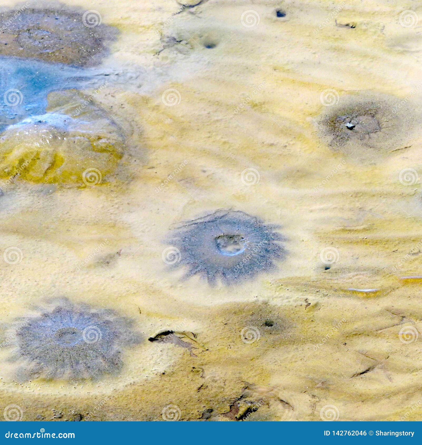 Puddle and Mud Texture, Abstract Background Stock Photo - Image of ...