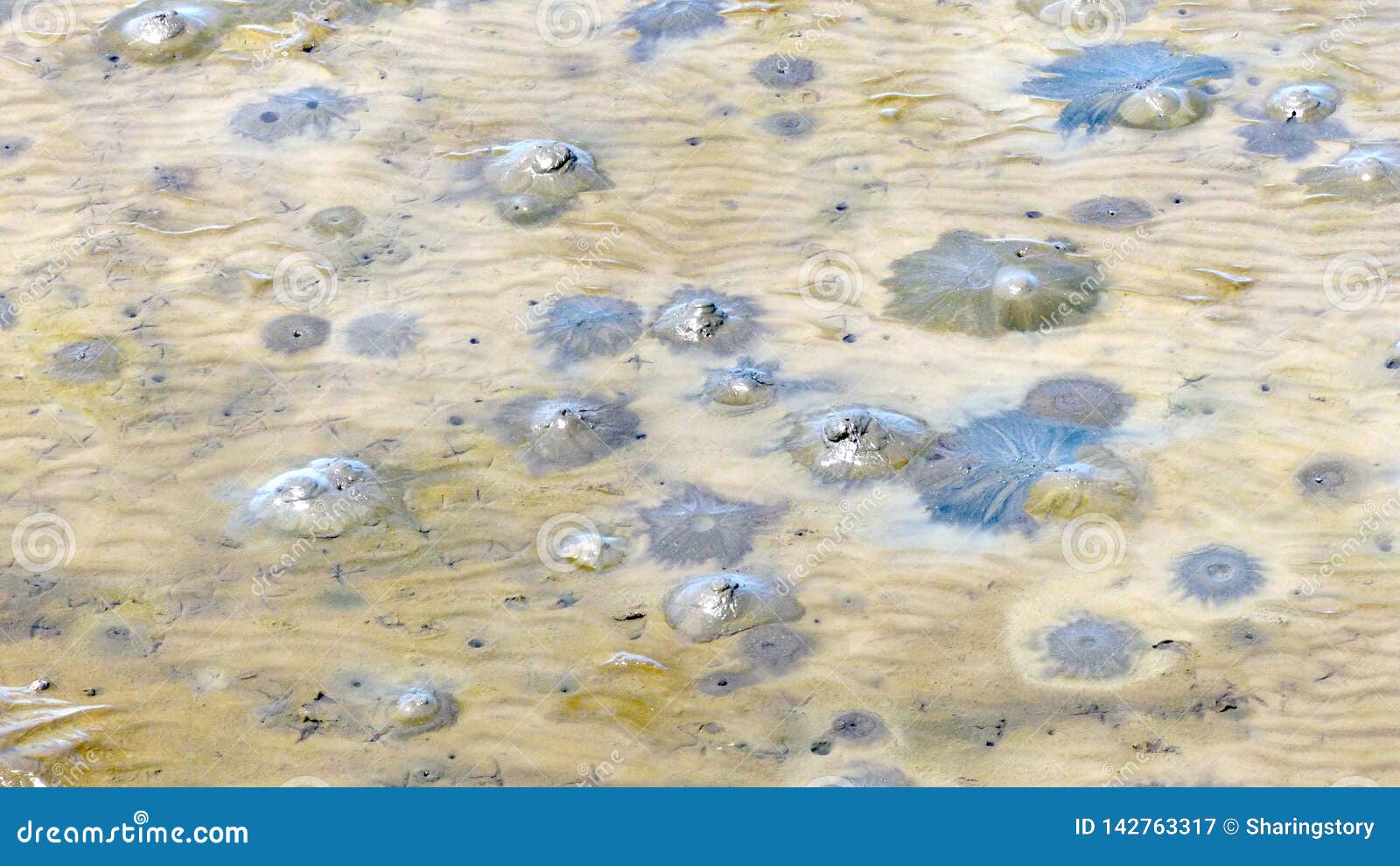Puddle and Mud Texture, Abstract Background Stock Image - Image of ...