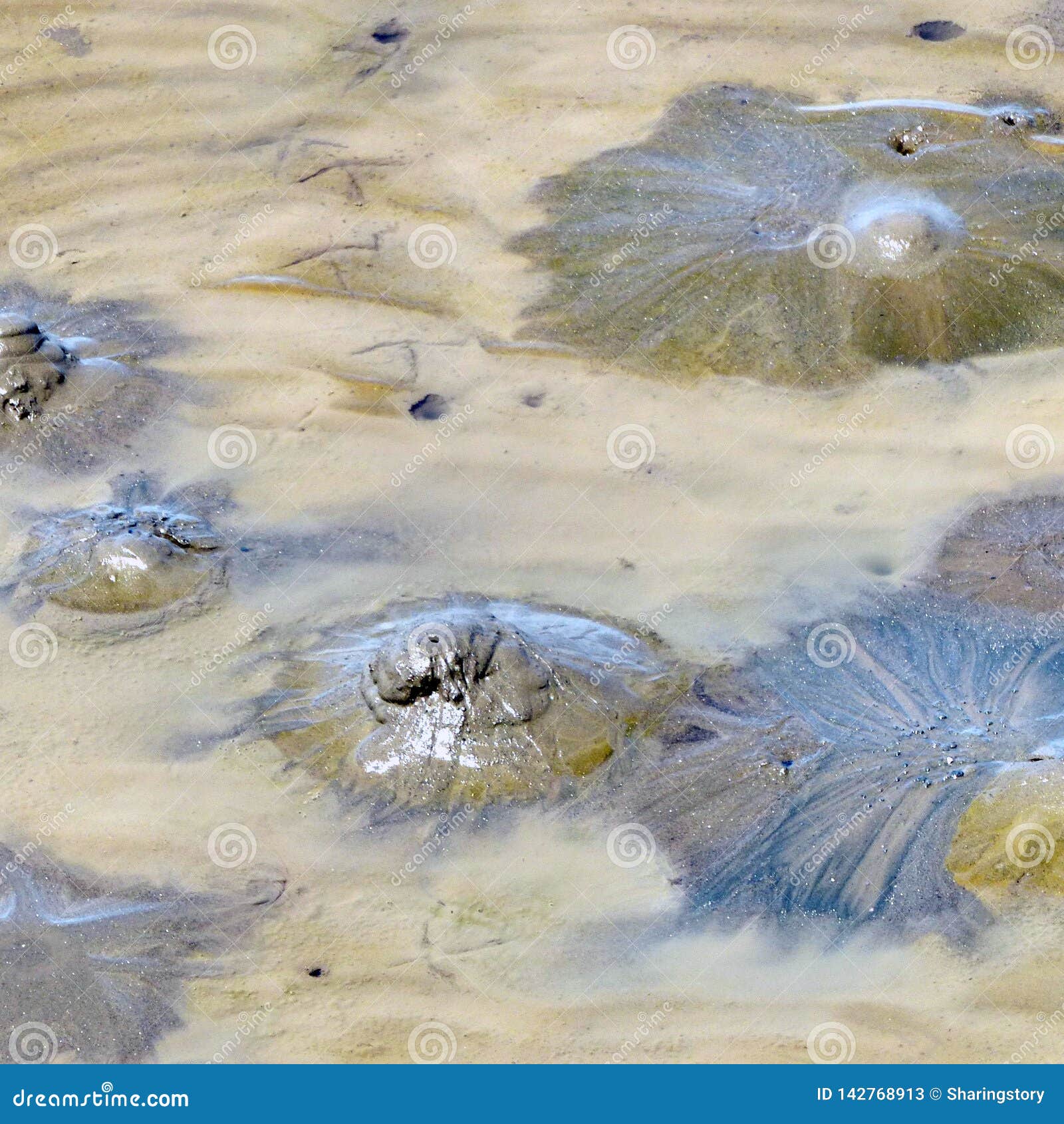 Puddle and Mud Texture, Abstract Background Stock Image - Image of ...