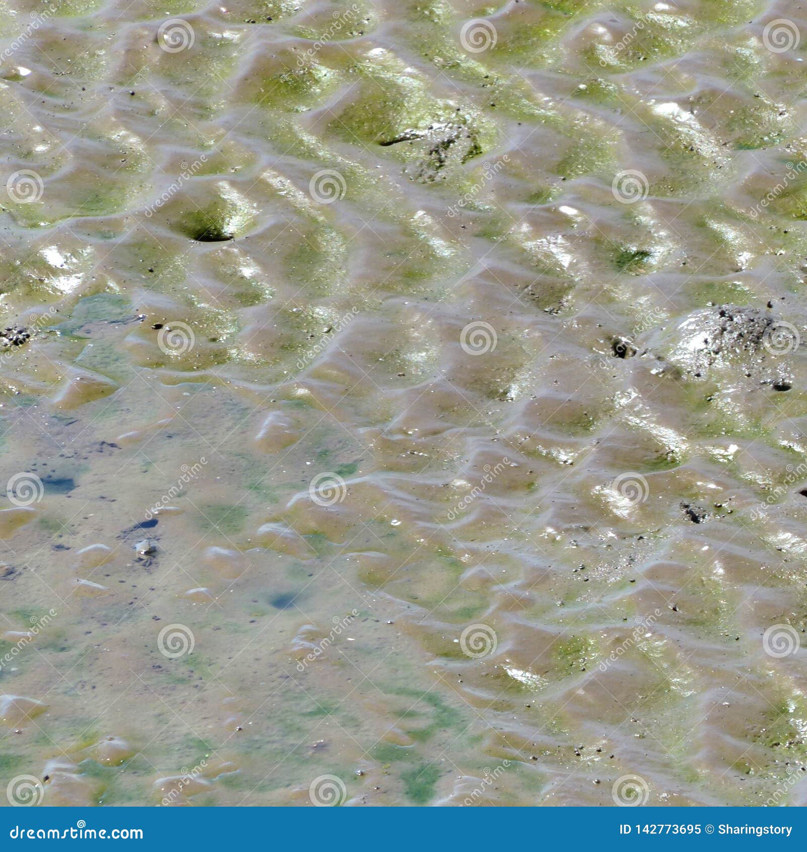 Puddle and Mud Texture, Abstract Background Stock Image - Image of ...