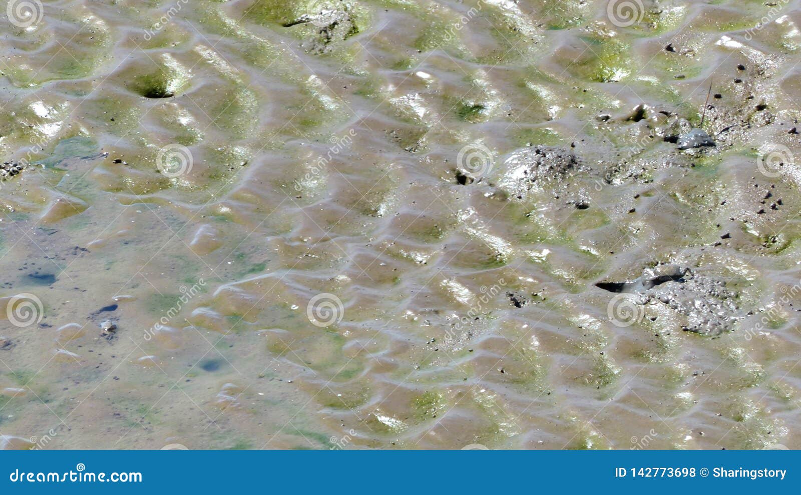 Puddle and Mud Texture, Abstract Background Stock Photo - Image of ...