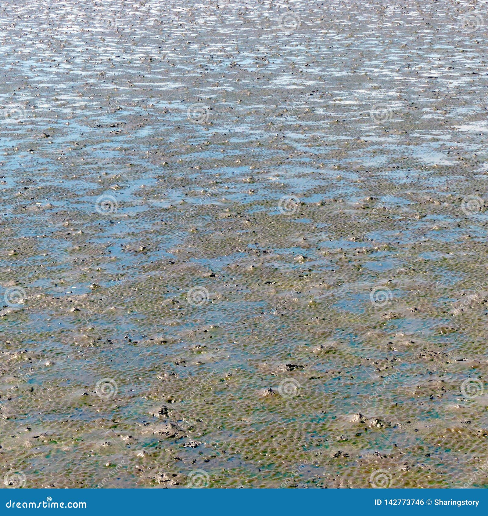Puddle and Mud Texture, Abstract Background Stock Photo - Image of clay ...