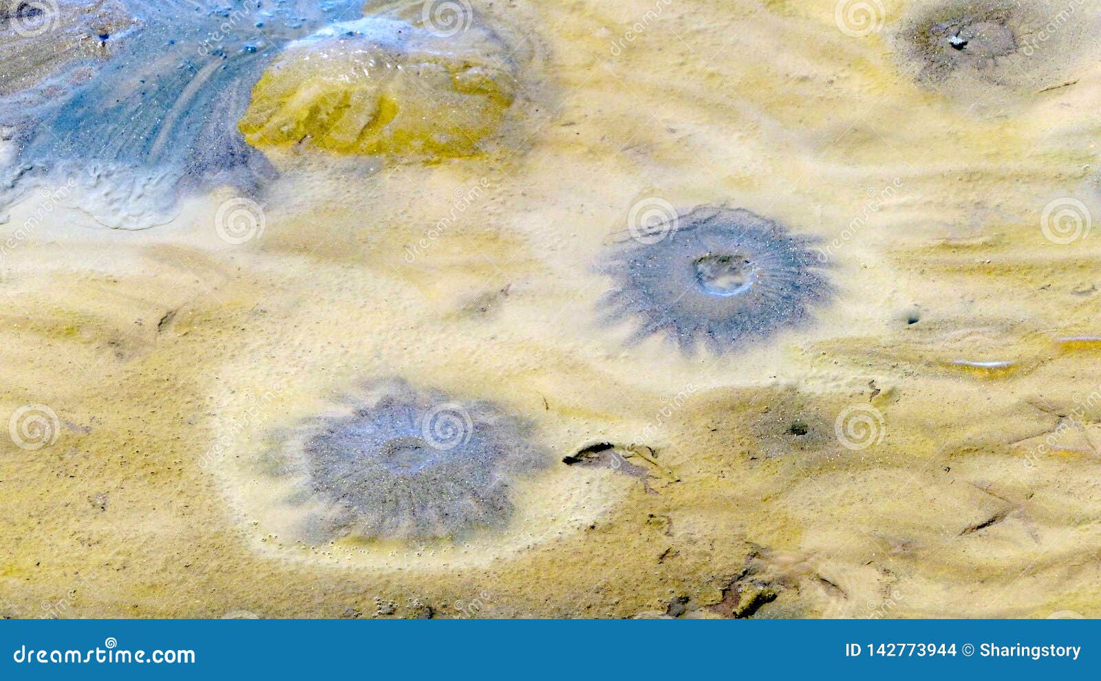 Puddle and Mud Texture, Abstract Background Stock Photo - Image of ...