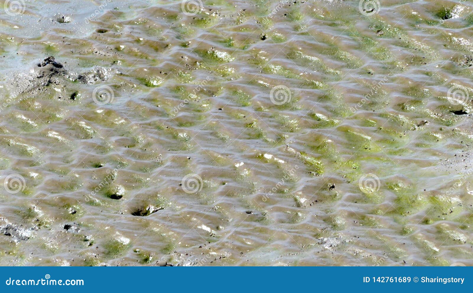 Puddle and Mud Texture, Abstract Background Stock Image - Image of ...