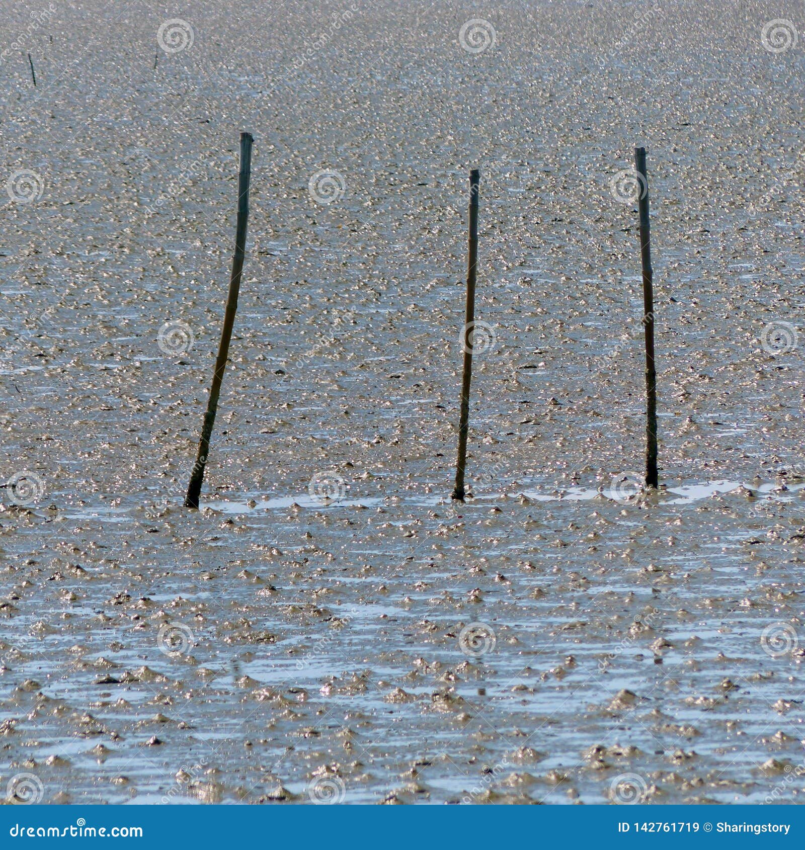 Puddle and Mud Texture, Abstract Background Stock Image - Image of rock ...
