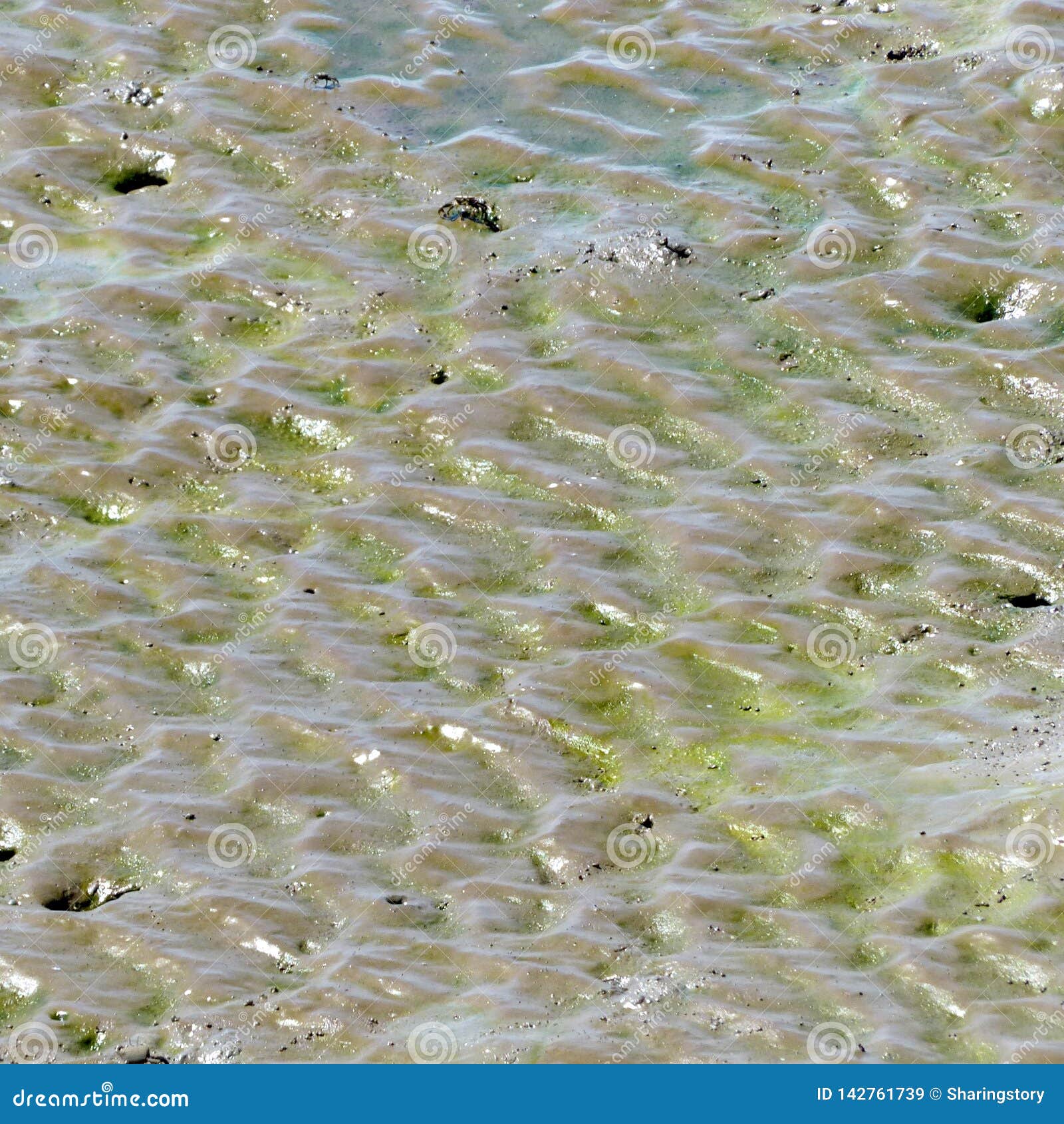 Puddle and Mud Texture, Abstract Background Stock Image - Image of rock ...