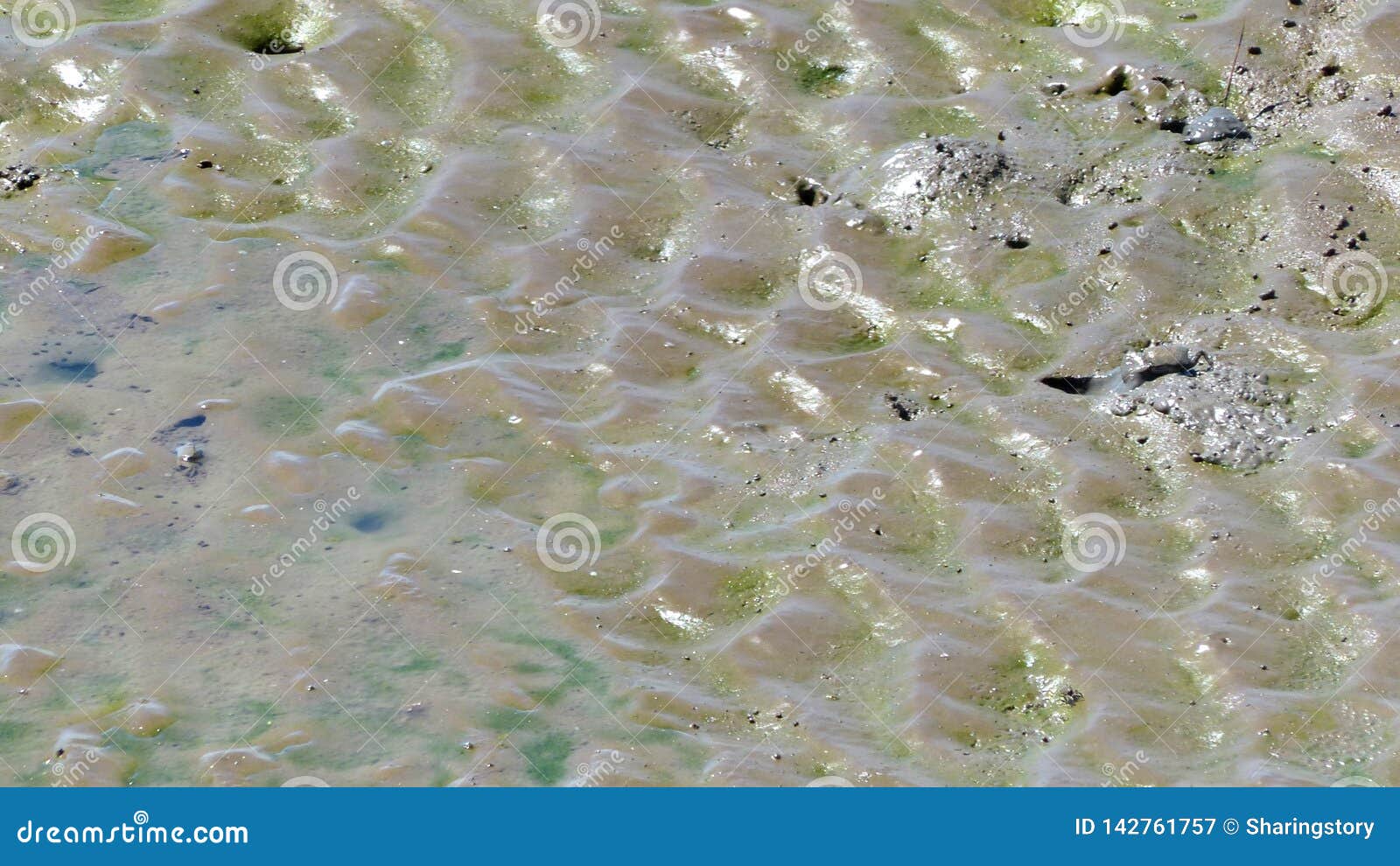Puddle and Mud Texture, Abstract Background Stock Image - Image of ...