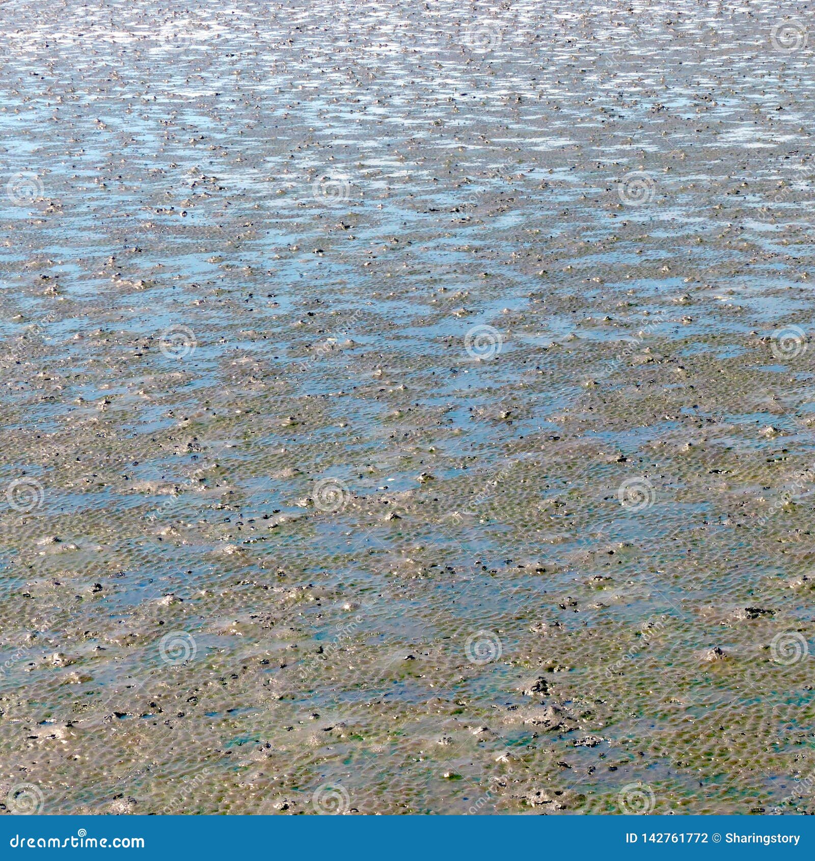 Puddle and Mud Texture, Abstract Background Stock Photo - Image of soil ...