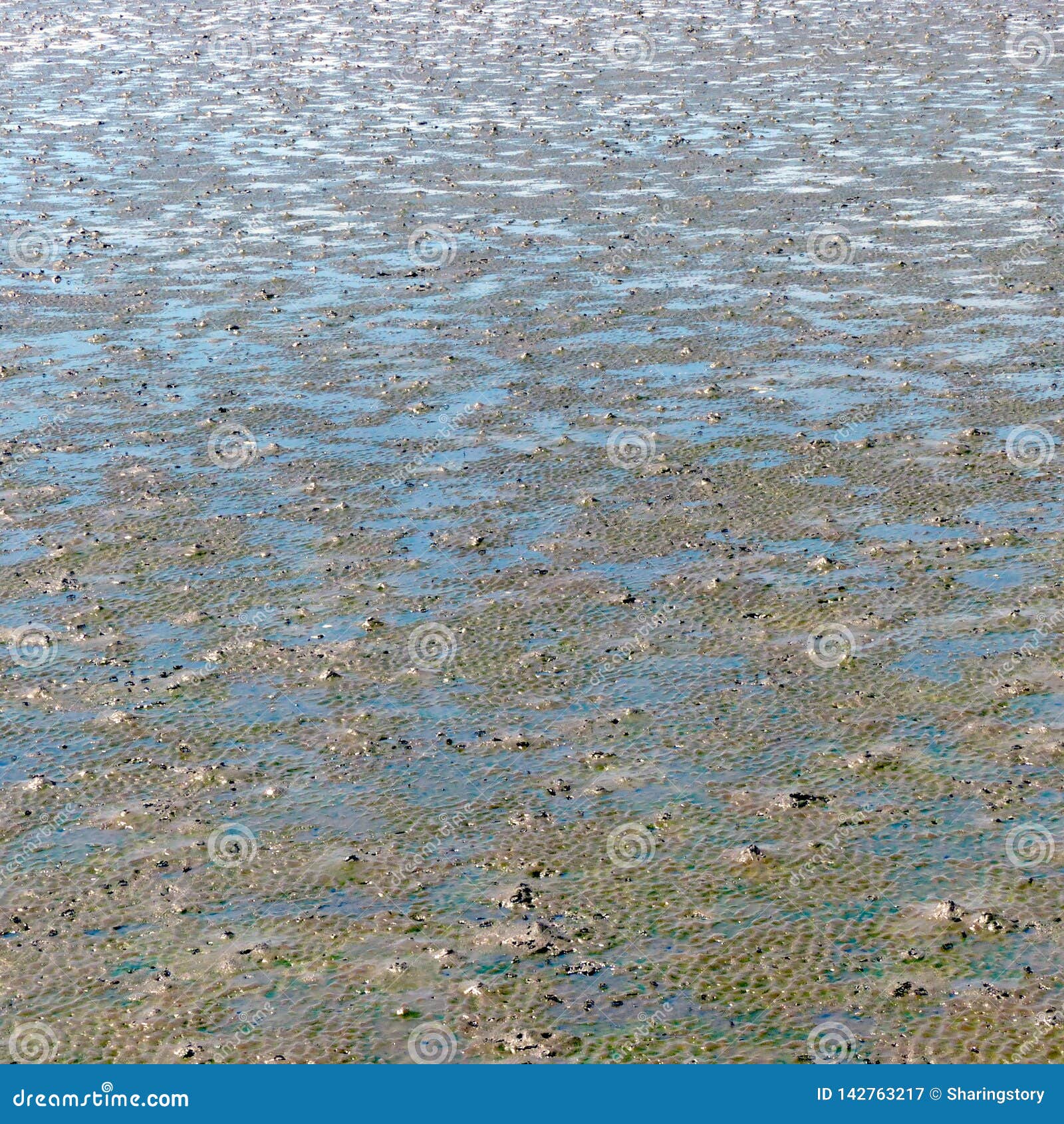Puddle and Mud Texture, Abstract Background Stock Image - Image of ...