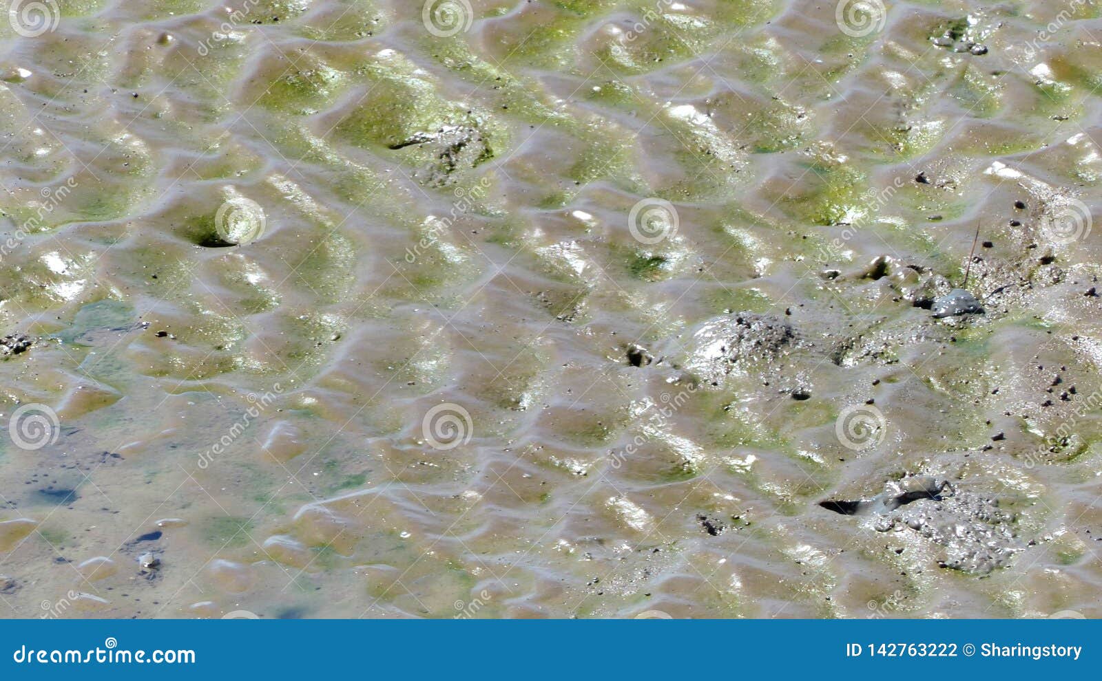 Puddle and Mud Texture, Abstract Background Stock Photo - Image of ...