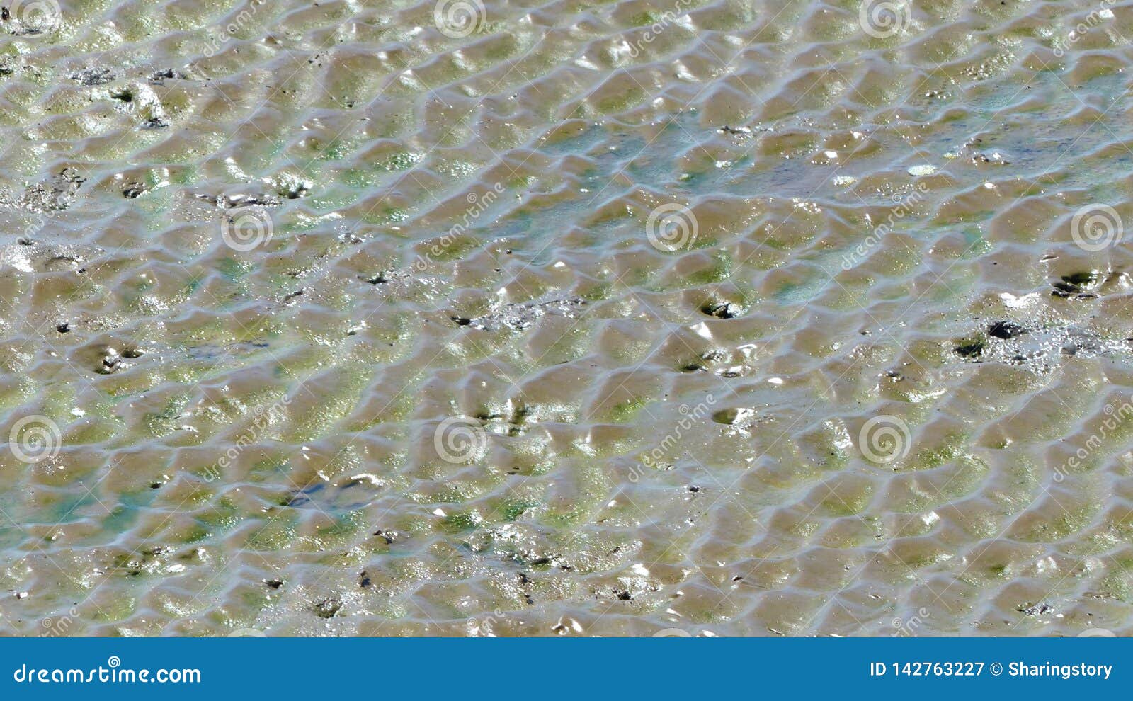 Puddle and Mud Texture, Abstract Background Stock Image - Image of ...