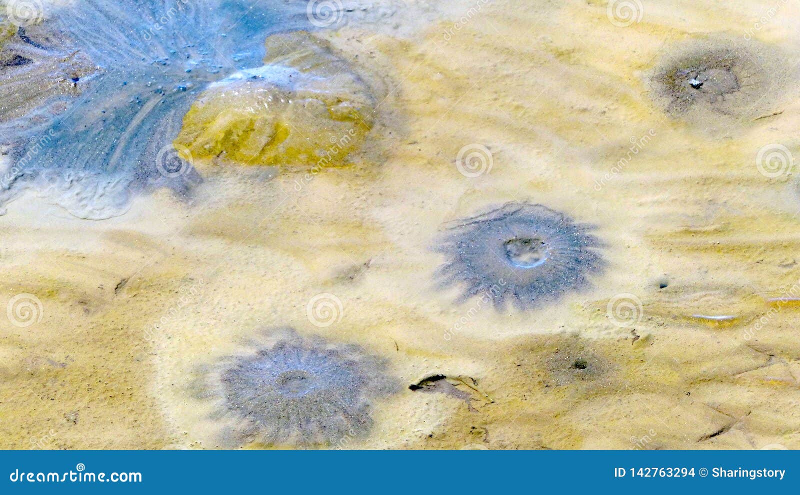 Puddle and Mud Texture, Abstract Background Stock Photo - Image of soil ...