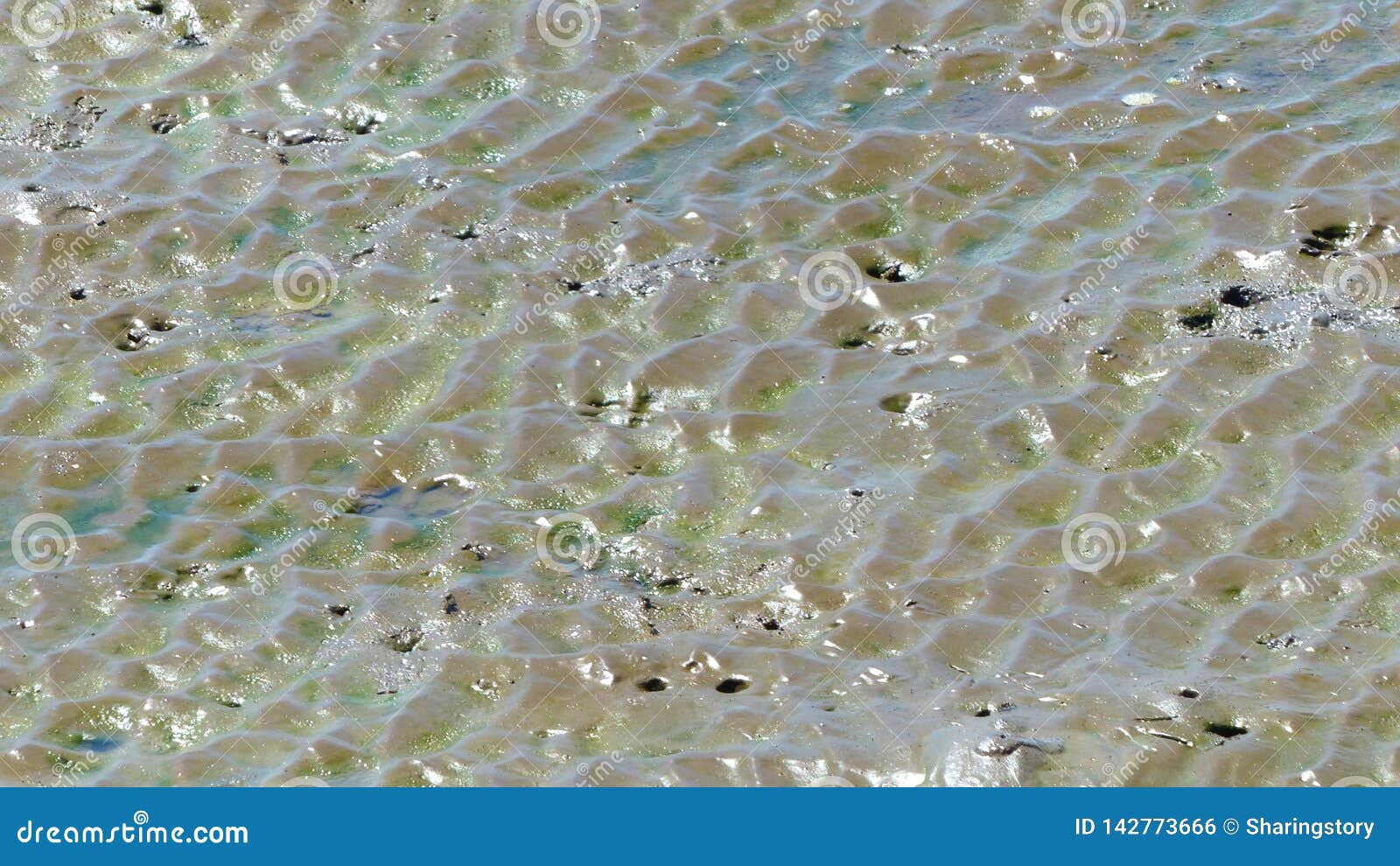Puddle and Mud Texture, Abstract Background Stock Photo - Image of pool ...
