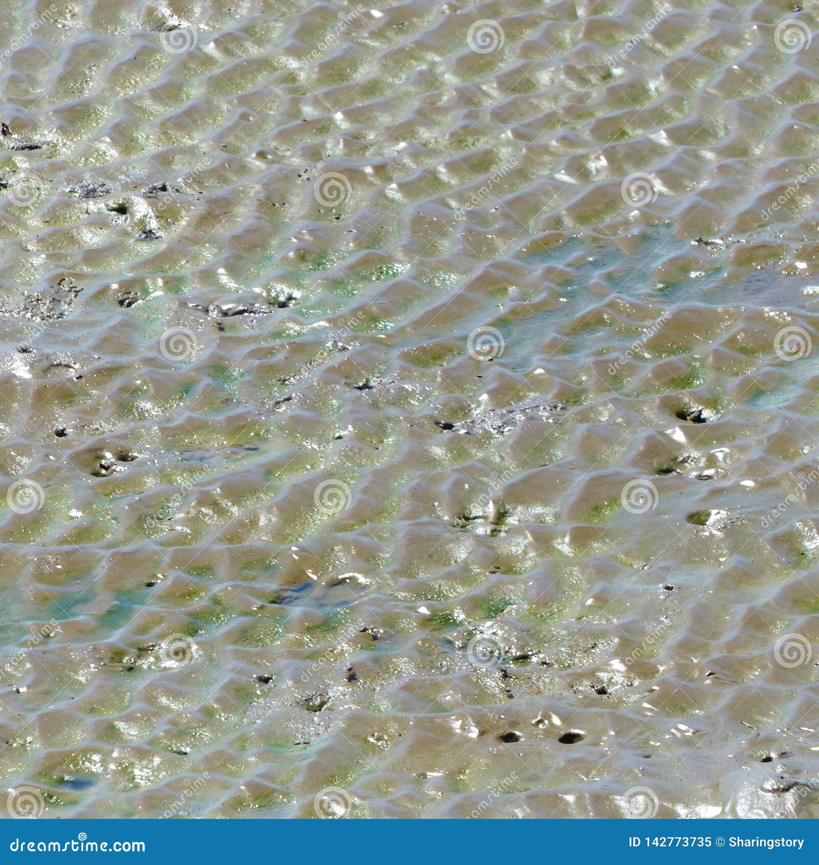 Puddle And Mud Texture Abstract Background Stock Image Image Of