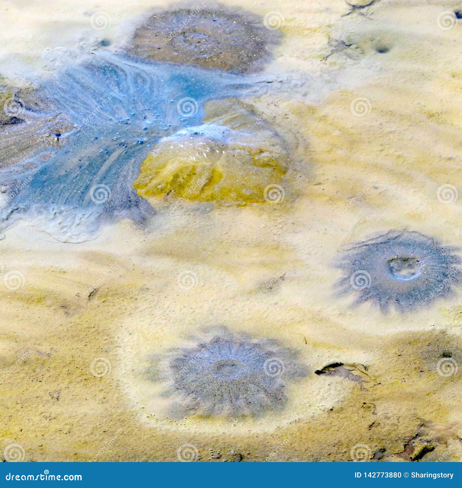 Puddle and Mud Texture, Abstract Background Stock Photo - Image of ...