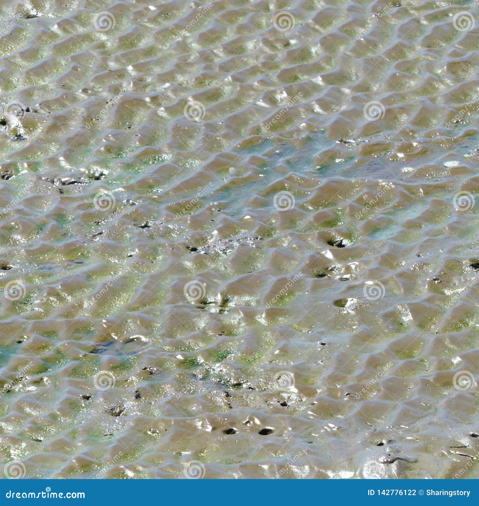 Puddle and Mud Texture, Abstract Background Stock Photo - Image of ...