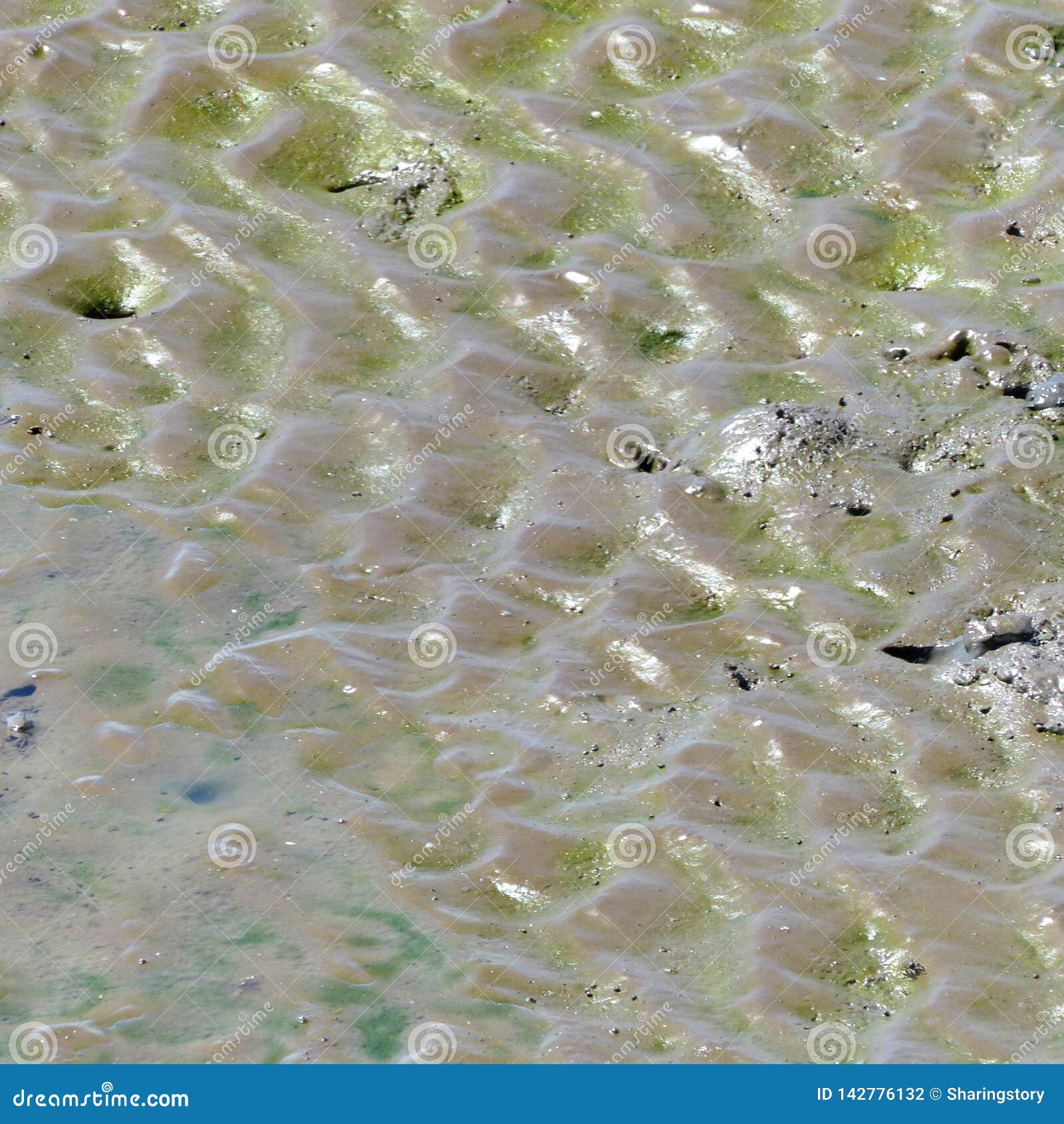 Puddle and Mud Texture, Abstract Background Stock Photo - Image of copy ...