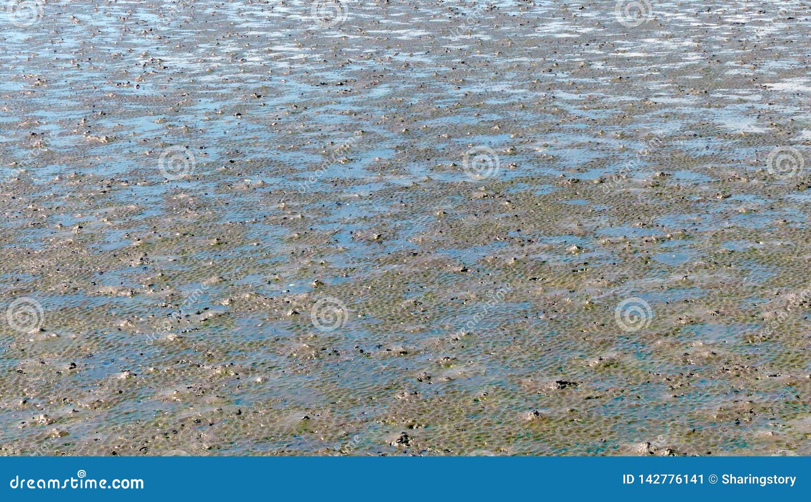 Puddle And Mud Texture Abstract Background Stock Image Image Of