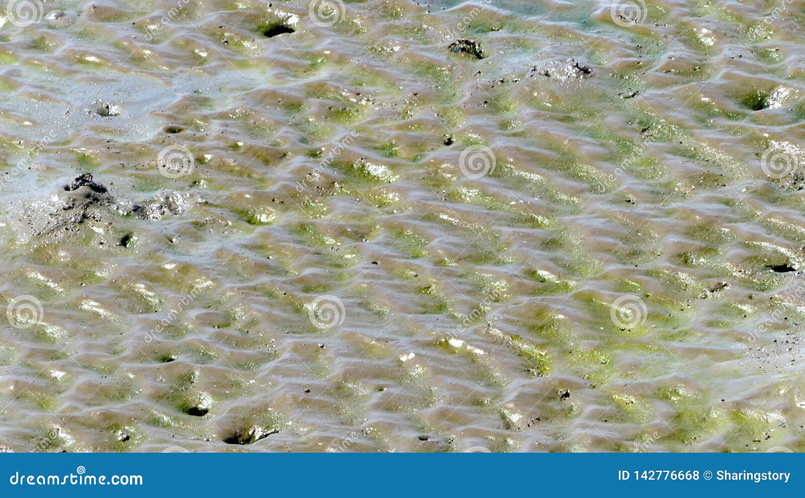 Puddle and Mud Texture, Abstract Background Stock Photo - Image of ...