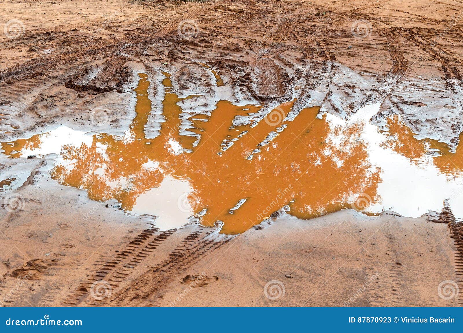Puddle Of Mud With Water And Tire Tracks On The Ground Royalty-Free ...