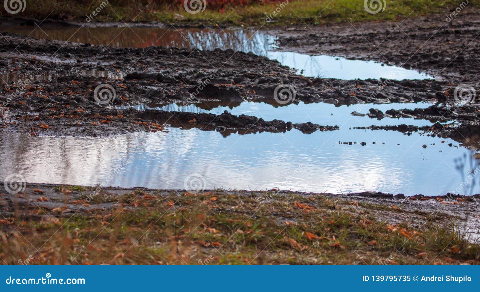 Puddle on a Muddy Road in Autumn Stock Image - Image of countryside ...