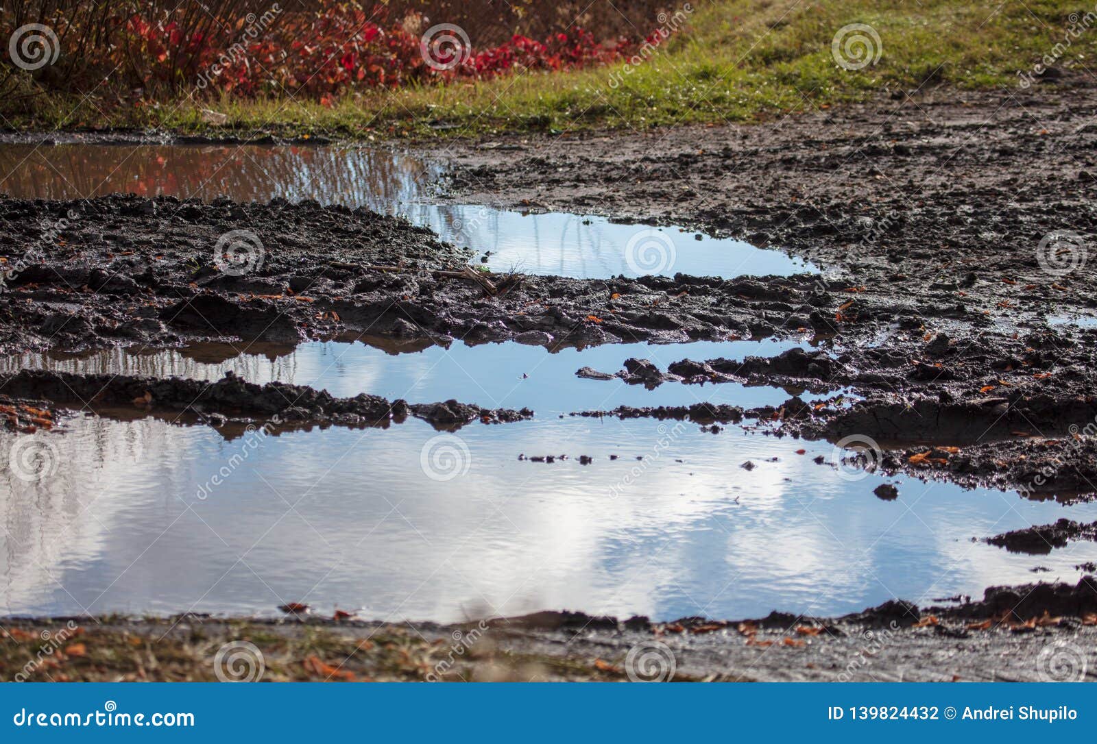 Puddle on a Muddy Road in Autumn Stock Photo - Image of puddle, earth ...