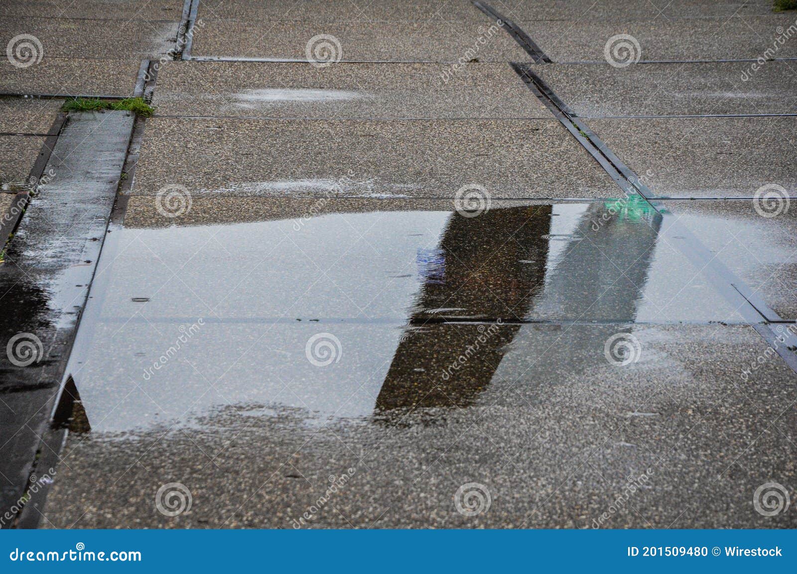 Puddle on a park pavement stock photo. Image of outdoors - 201509480