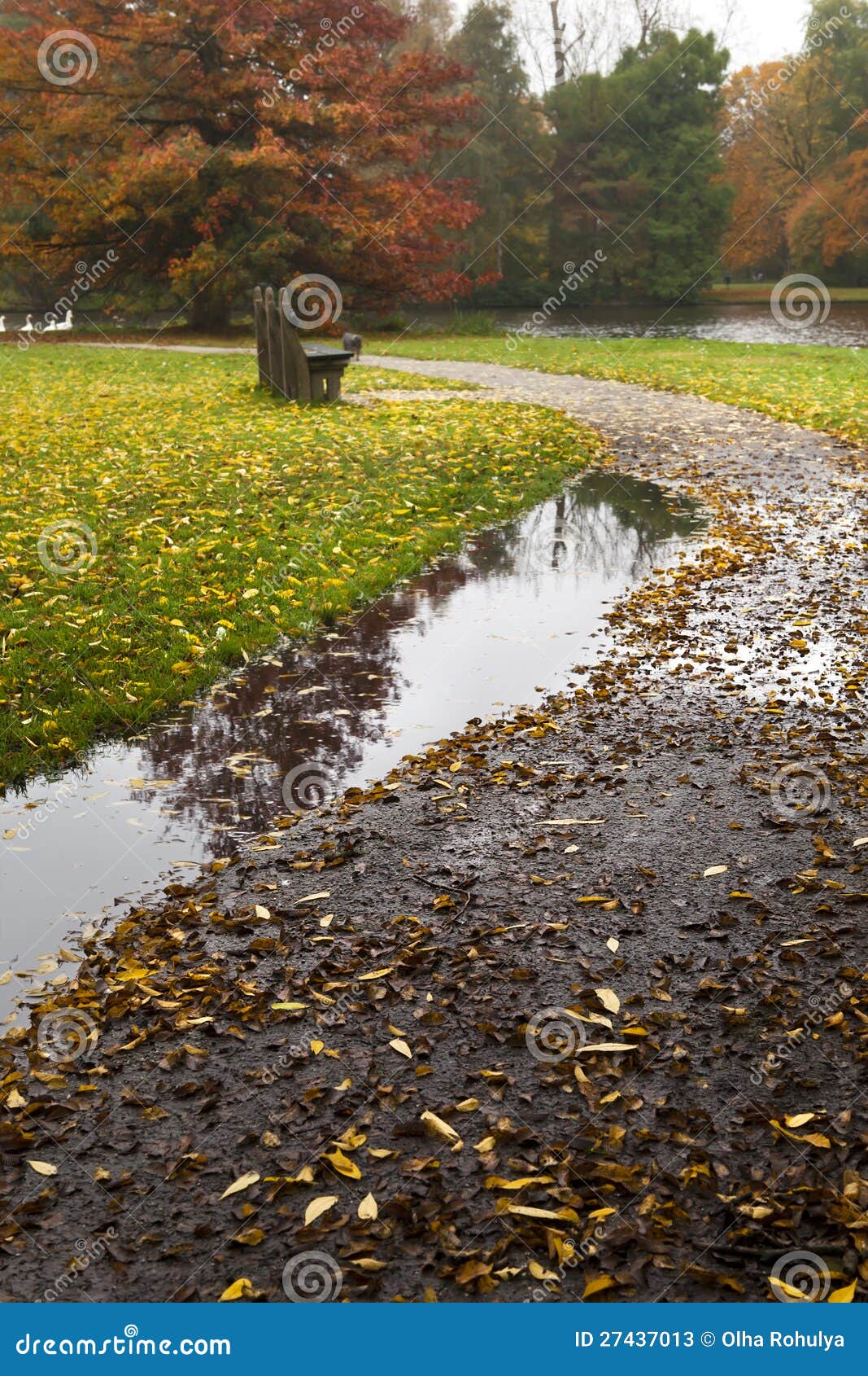 Puddle on path in autumn stock image. Image of curve - 27437013