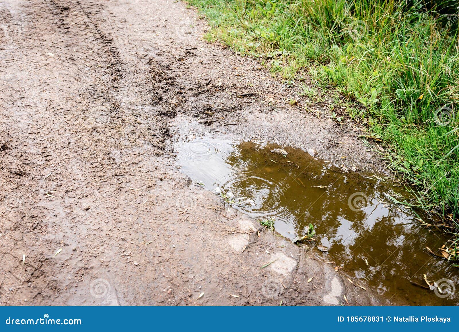 Puddle on a Path in the Field Road Stock Image - Image of summer ...