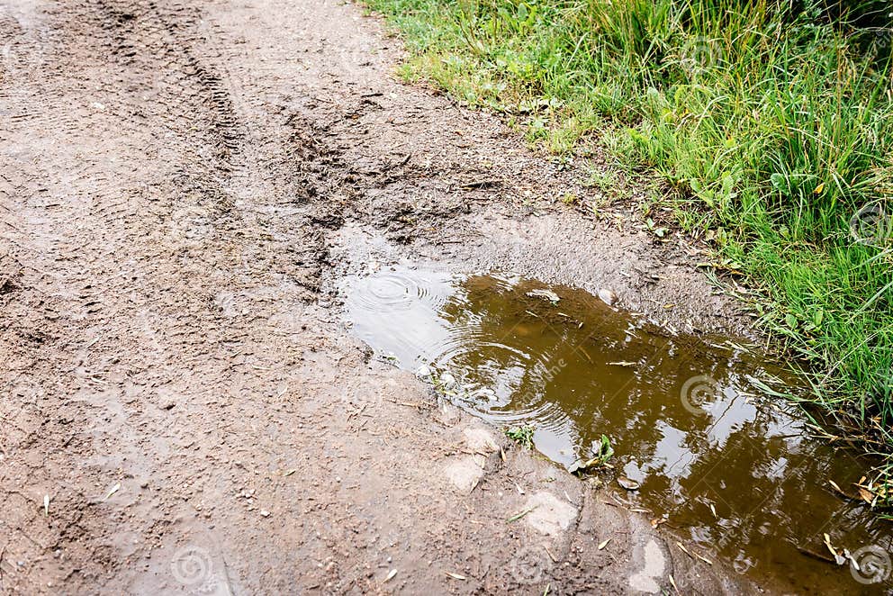 Puddle on a Path in the Field Road Stock Image - Image of summer ...