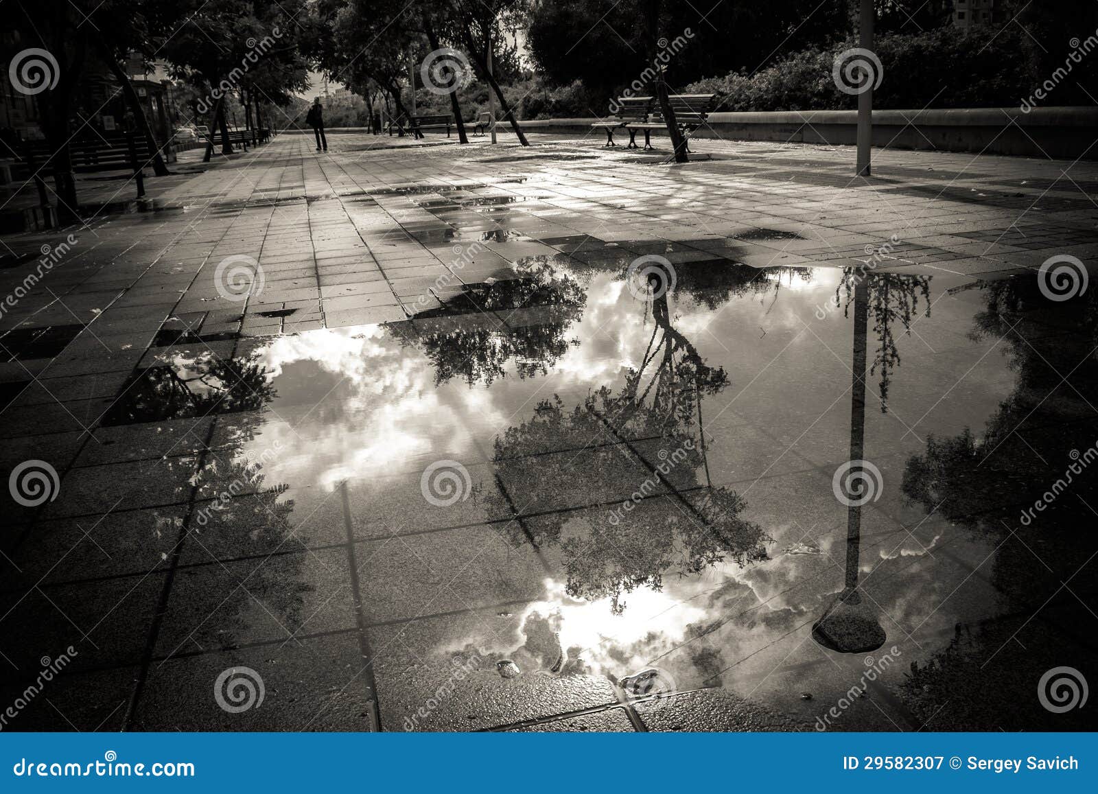 Puddle on the pavement stock image. Image of tile, reflection - 29582307