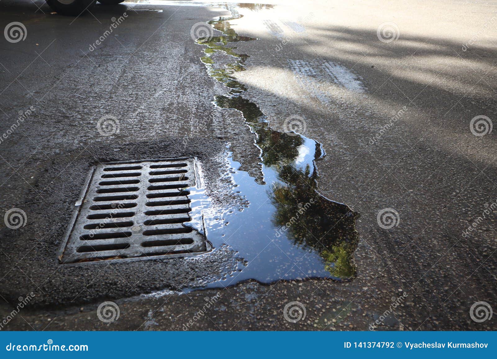 Puddle on the Pavement, Palm Trees Reflected in the Water. Water Flows ...