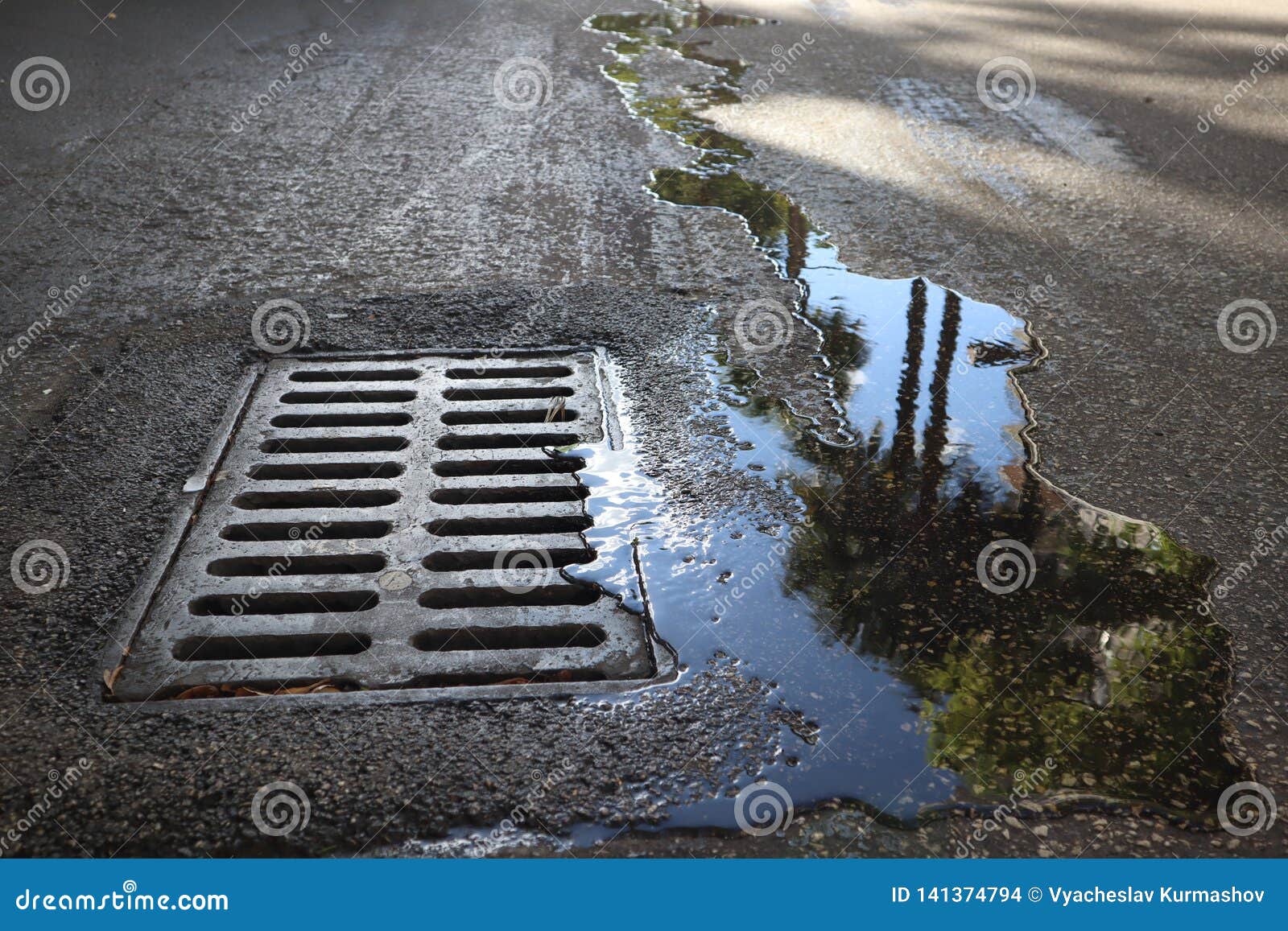 Puddle on the Pavement, Palm Trees Reflected in the Water. Water Flows ...