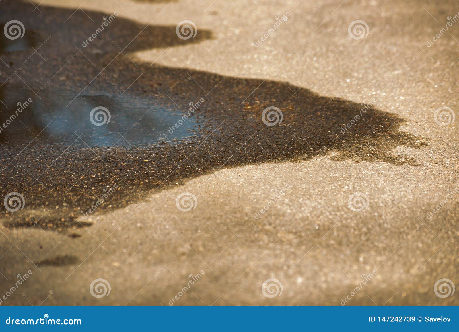 Puddle On The Pavement. Water Surface With Raindrops And Yellow Leaves ...