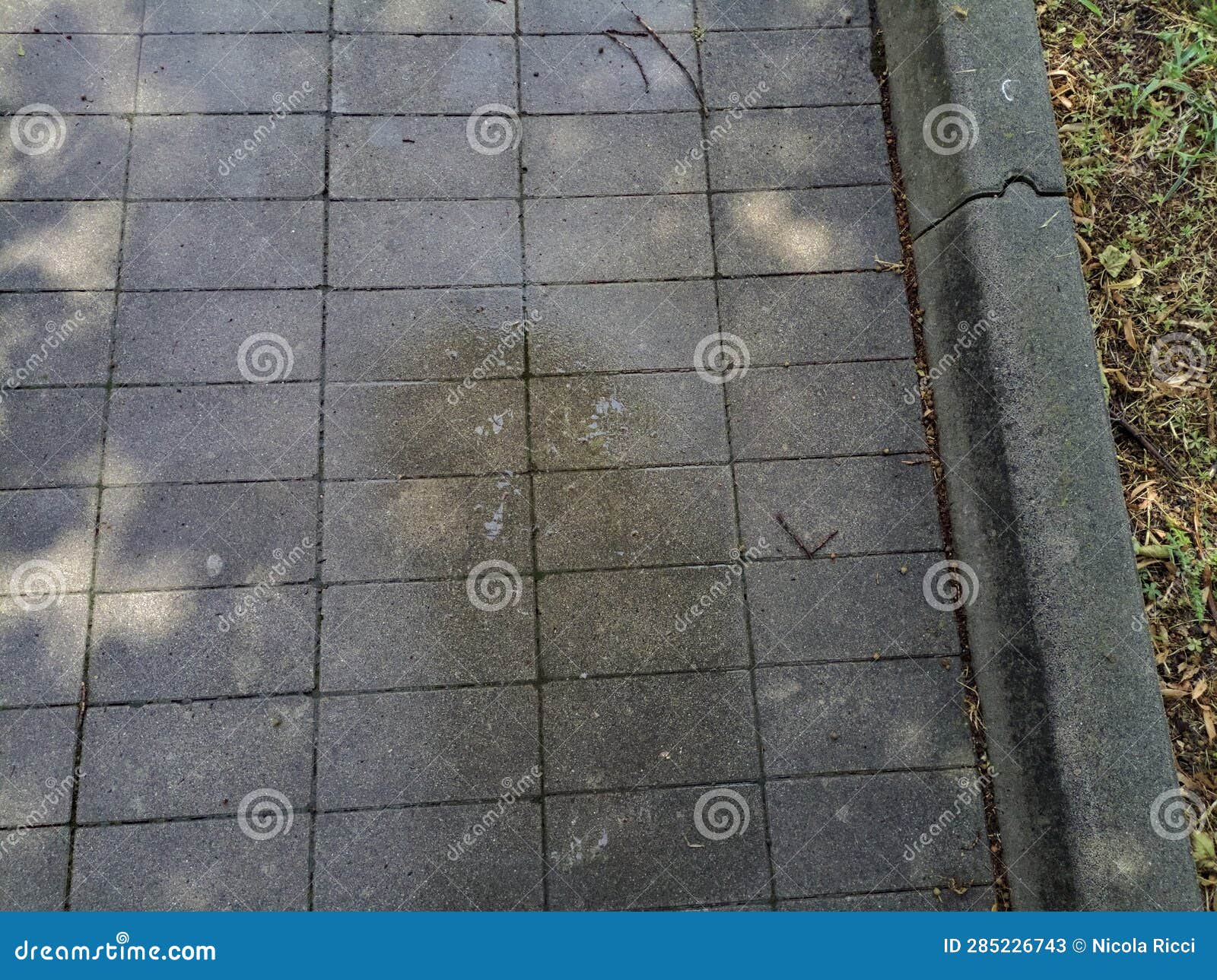 Puddle on a Pavement with Sunlight and Trees Casted in the Water Stock ...