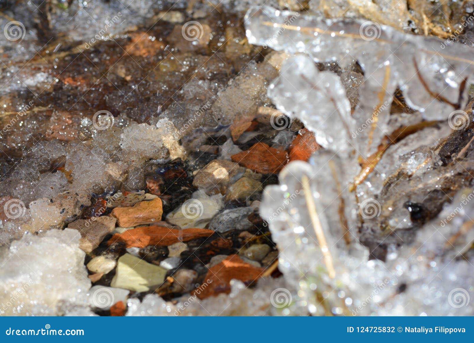 Puddle of melted water stock photo. Image of frost, snow - 124725832