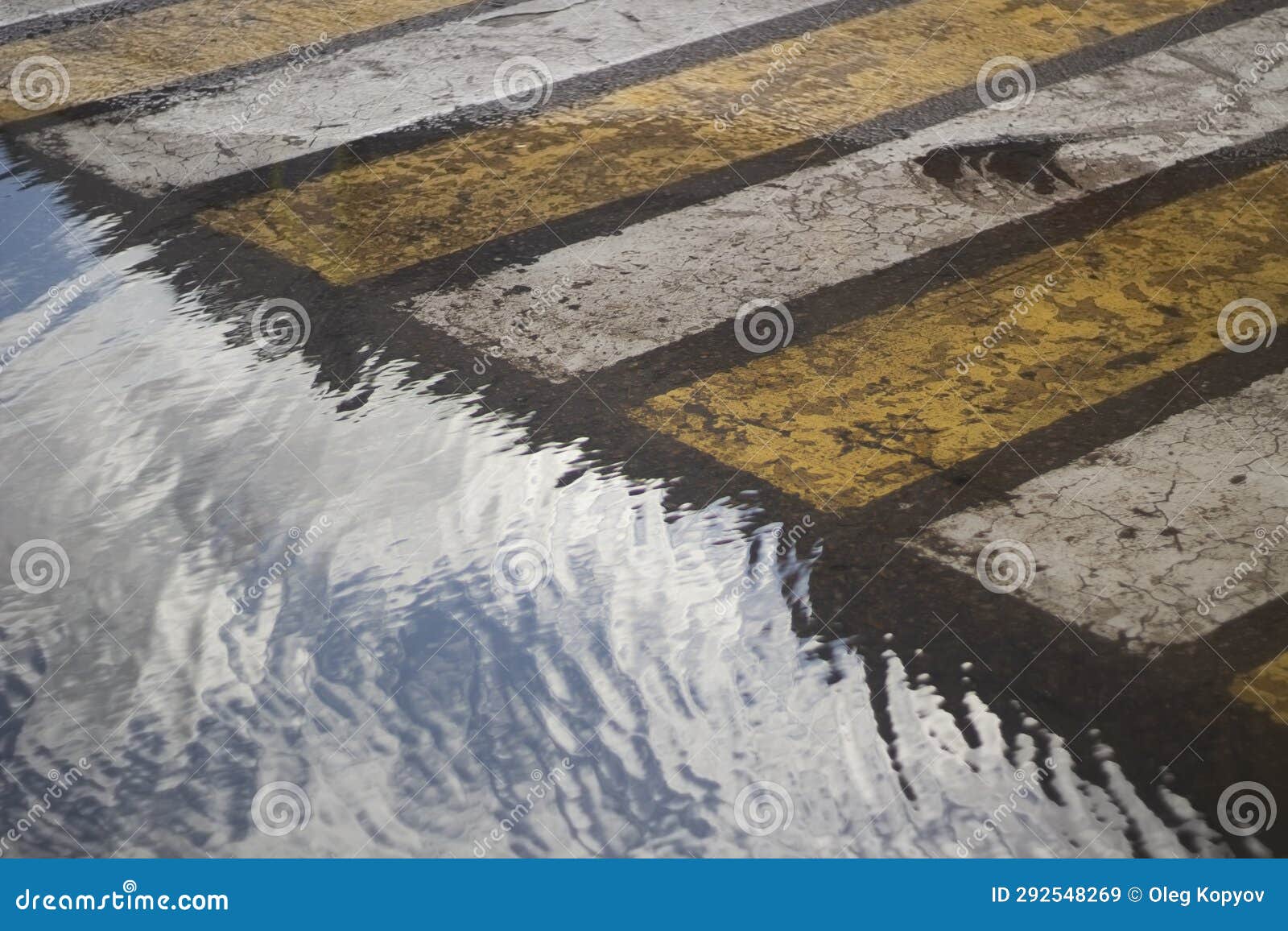 Puddle at a Pedestrian Crossing. Pedestrian Markings on the Highway ...