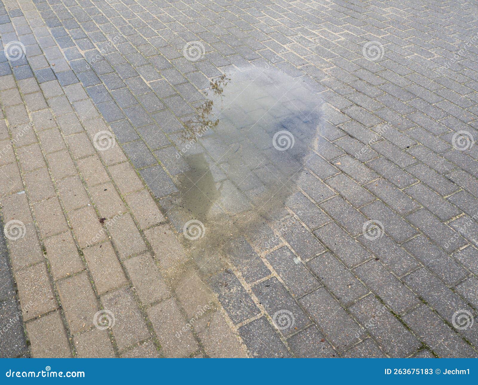 Puddle in a Pothole on a Road after a Rainstorm. Concept of Risk and ...