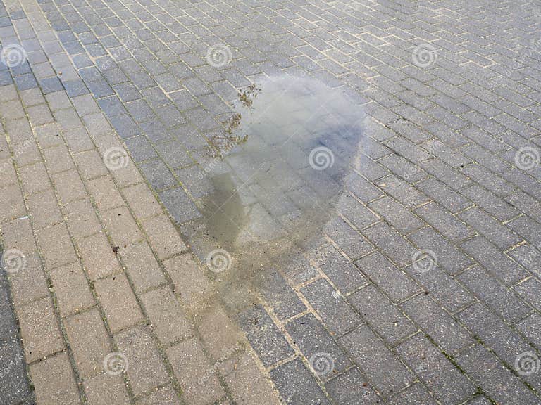 Puddle in a Pothole on a Road after a Rainstorm. Concept of Risk and ...