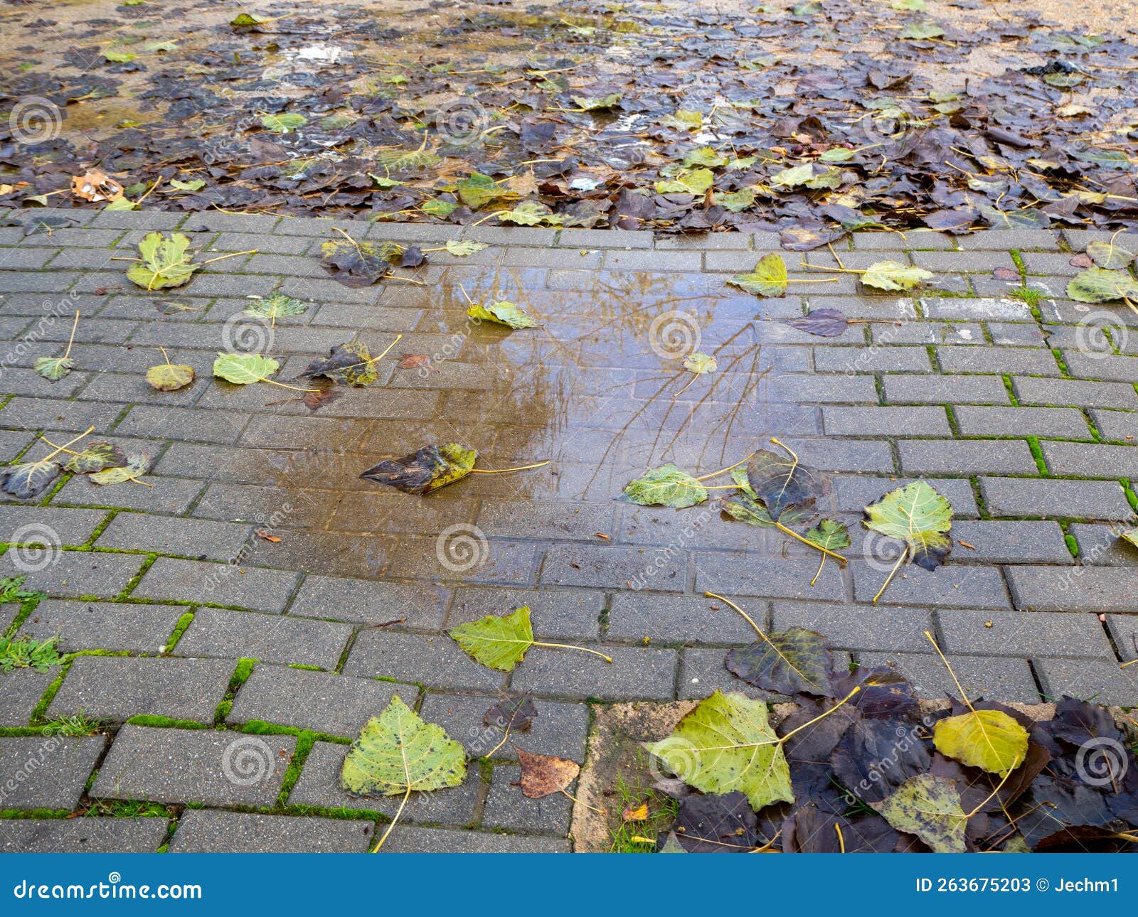 Puddle in a Pothole on a Road after a Rainstorm. Concept of Risk and ...