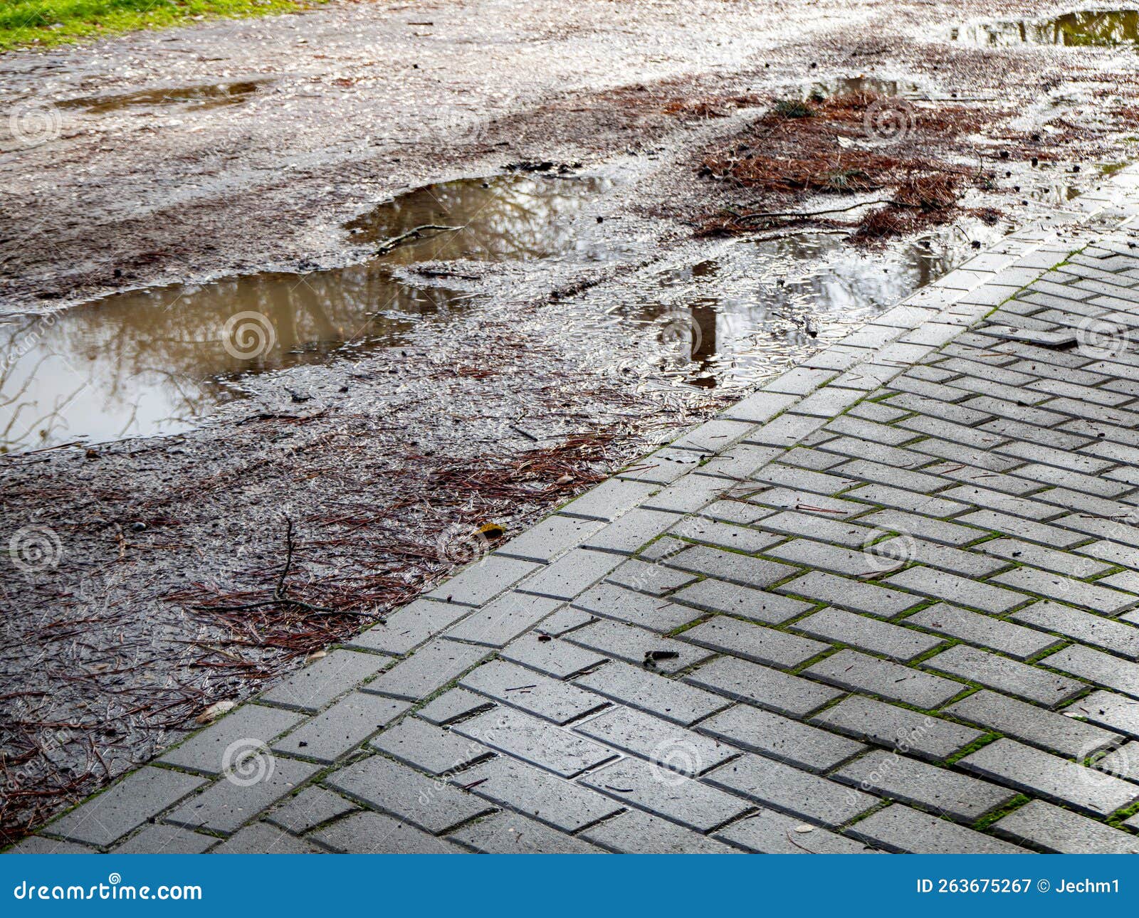 Puddle in a Pothole on a Road after a Rainstorm. Concept of Risk and ...