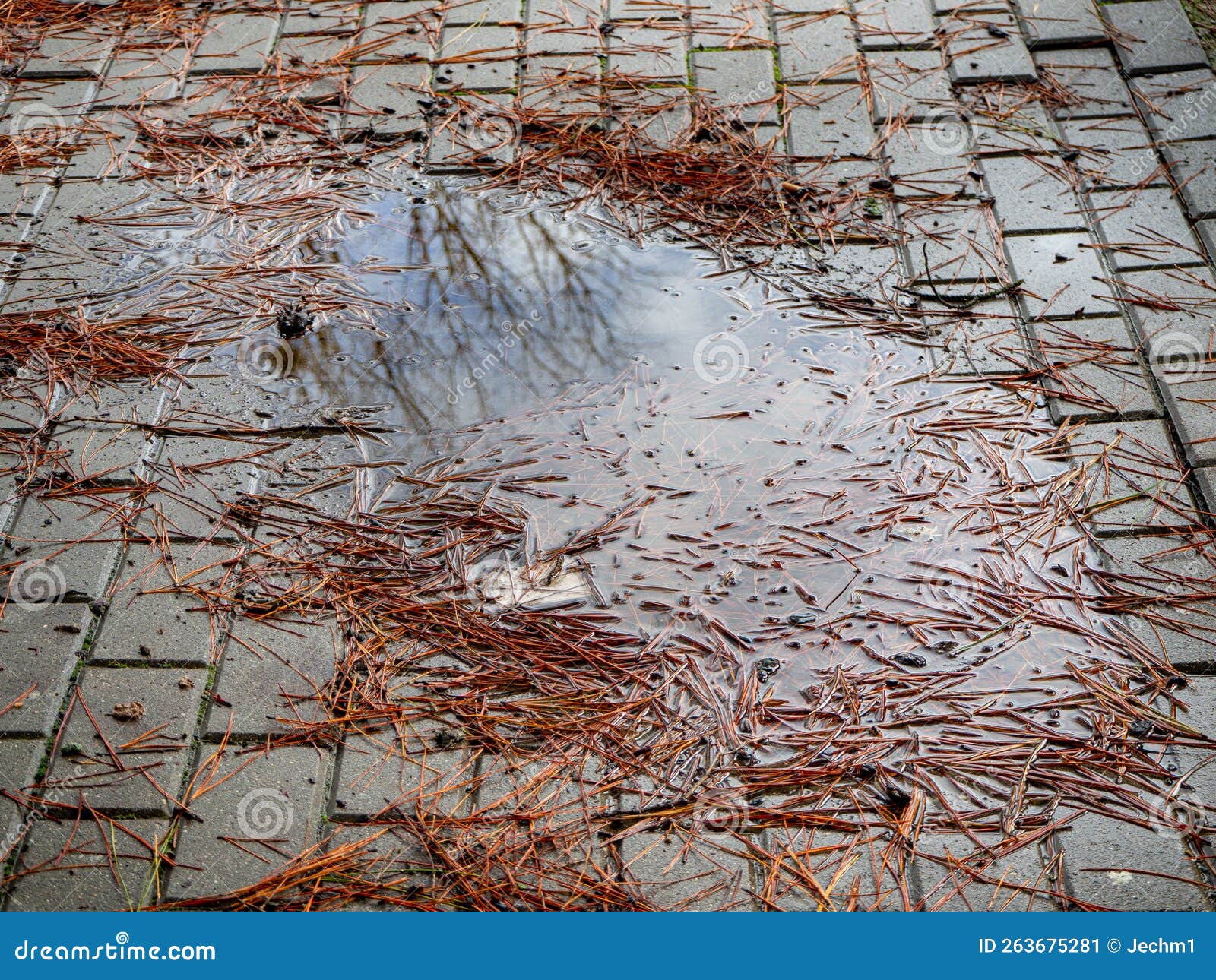 Puddle in a Pothole on a Road after a Rainstorm. Concept of Risk and ...