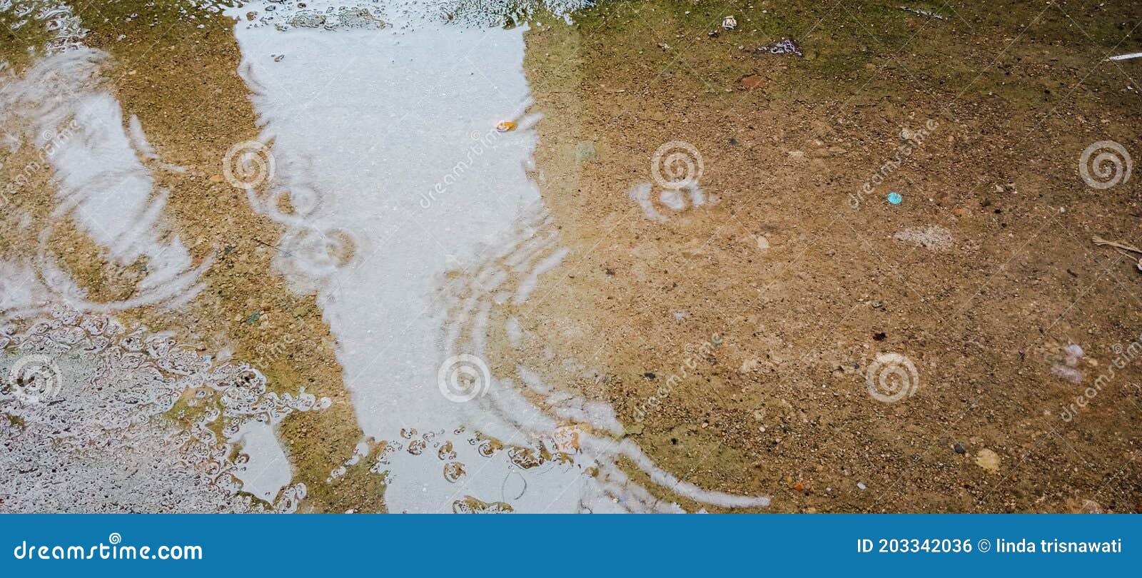 Puddle after rain stock photo. Image of green, geology - 203342036