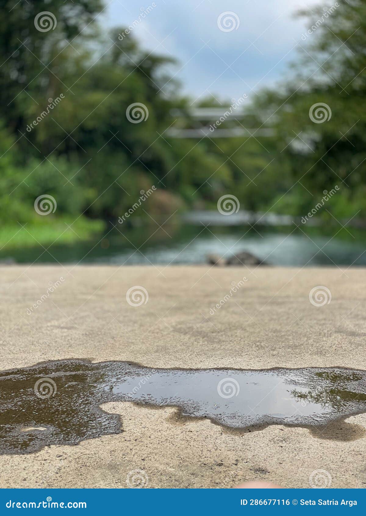 Puddle after the Rain with a River View Stock Photo - Image of water ...