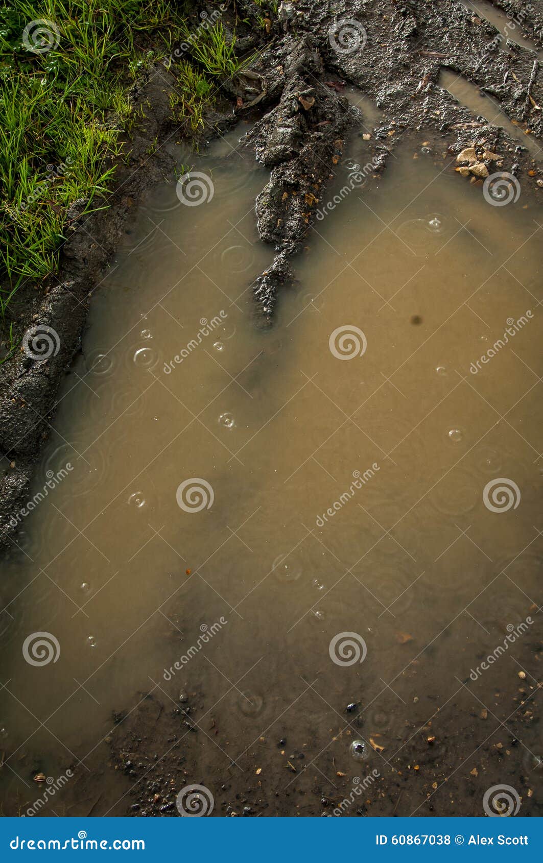 Puddle in a rain storm stock photo. Image of environment - 60867038