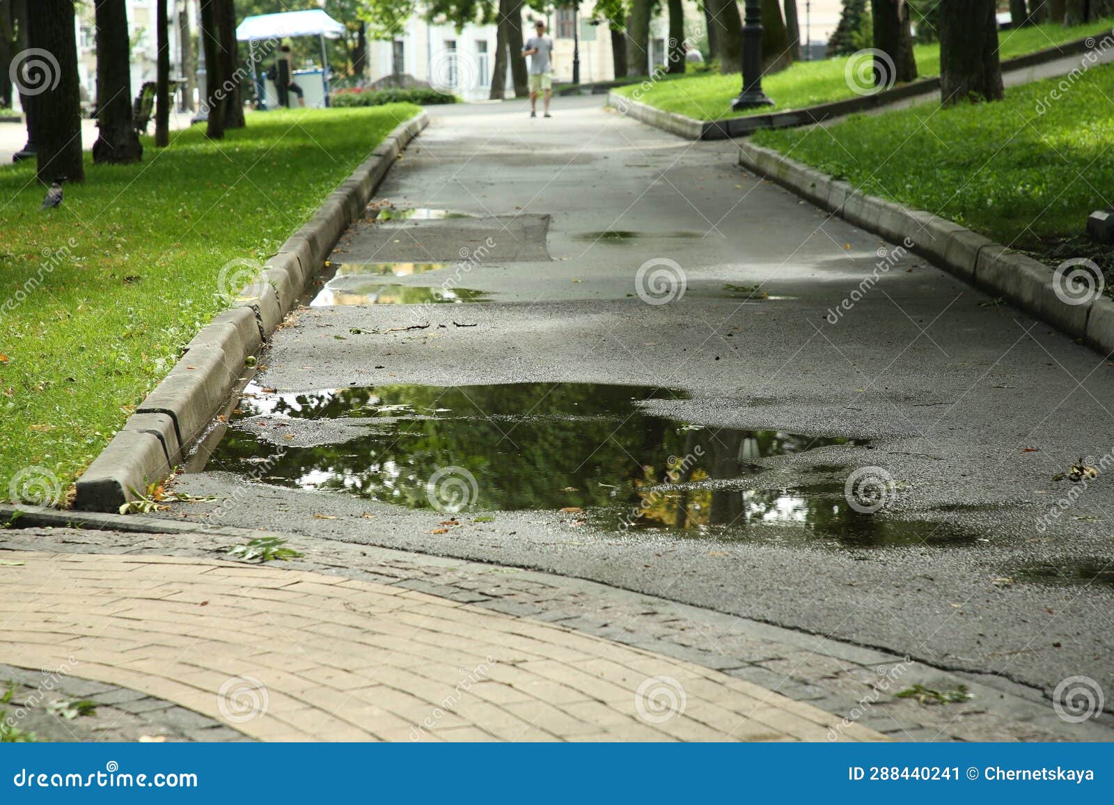Puddle of Rain Water on Pathway Outdoors Stock Image - Image of aqua ...